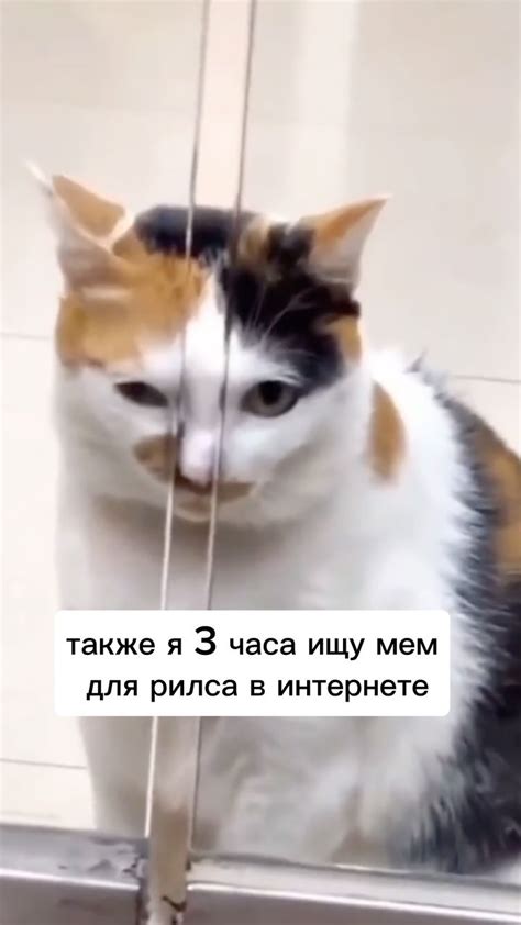 Мемы зеленый экран Green Screen Memes Greenscreenmem • Instagram