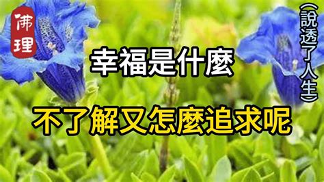 佛理幸福是什麼不了解又怎麼追求呢 佛理 佛禪 人生哲理 YouTube