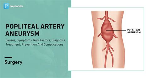Popliteal Artery Aneurysm Causes Symptoms Risk Factors And More