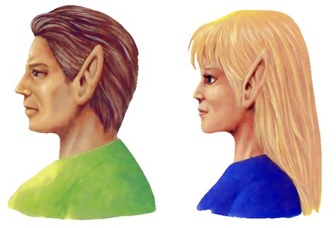 Hylian Zelda Wiki