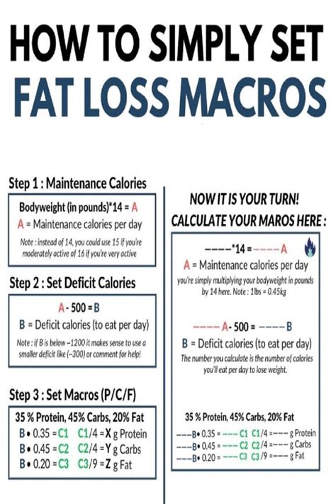 How To Count Macros Beginner S Guide Artofit