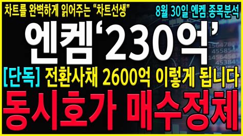 엔켐 주가 전망 긴급 장막판 230억수급 이 것 입니다 핵심적인부분은 앞으로 유동성수급이 더 커질겁니다 엔켐