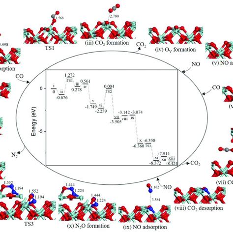 Energy Profile And Structure Models Of Reactants Transition States And
