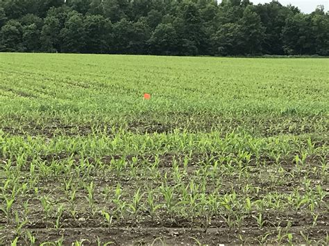 Filed Under 2017 Interns Alison Parrott