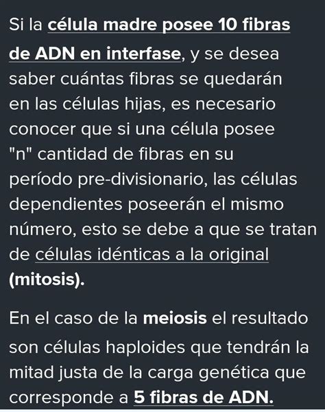 Si La Célula Madre Posee 10 Fibras De Adn En Interfase ¿con Cuántas