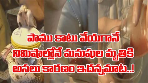 Blood Vs Snake Venom Video రక్తాన్ని ఓ గ్లాసులో పోసి ఒక్క చుక్క పాము