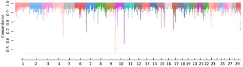 Evaluation Of Whole Genome Sequence Imputation Strategies In Korean Hanwoo Cattle