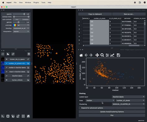 data exploration dimensionality reduction and clustering with napari