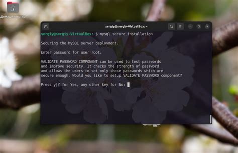 Установка Mysql в Ubuntu 22 04 Losst