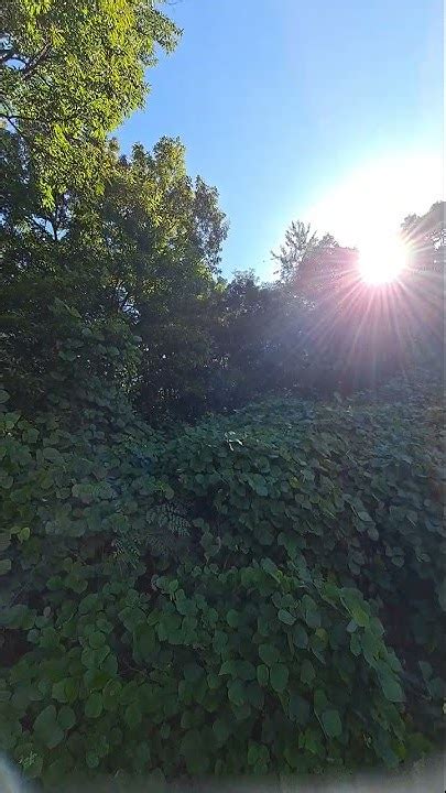 동쪽 산 너머의 아침 태양 빛 Youtube