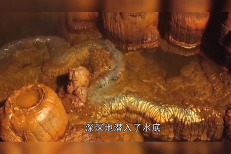 湖南一山村山洞中发现真龙，没人敢靠近，科学家进去一看不淡定了