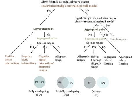 Decision Tree To Disentangle Community Drivers Adapted From D Amen Et