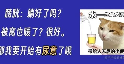 睡前喝水会不会对肾不好 腾讯新闻