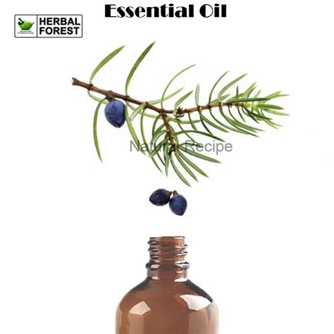 Juniper Berry Essential Oil