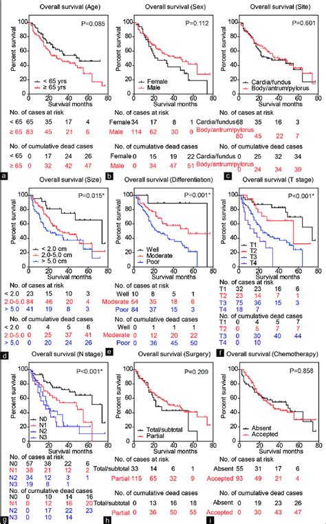 Overall Survival Analyses Of Our Retrospective Gastric Adenocarcinoma