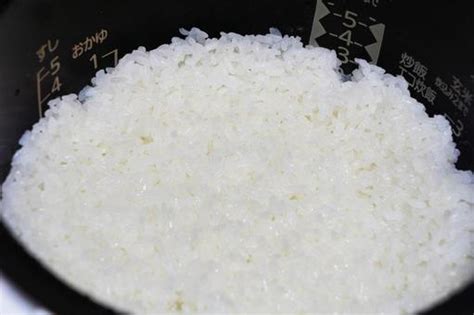 2ページ目 炊飯器の写真素材｜写真素材なら「写真ac」無料（フリー）ダウンロードok