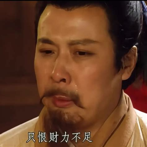 只恨财力不足 三国演义 搞笑 Ai玩表情 51052