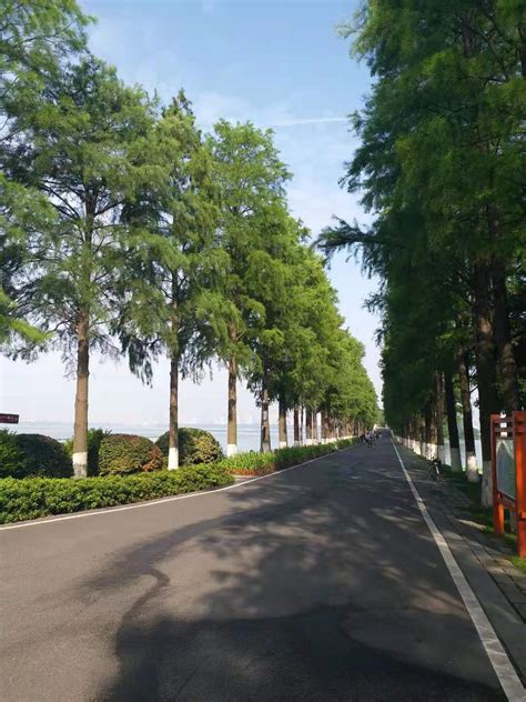 科学网—骑单车逛东湖绿道 姚卫建的博文