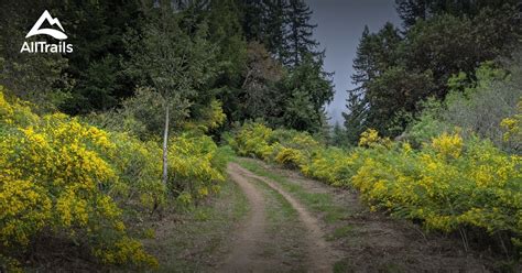 Best Trails In Bear Creek Redwoods Open Space Preserve California