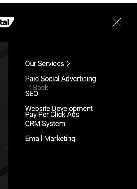 Mobile Menu Issues With Text Overlaying One Another Customize With