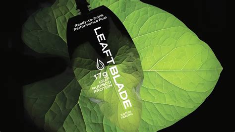 ニュージーランドのleaft Foodsが、青葉から抽出した完全タンパク質rubiscoベースのプロテイン飲料を発売 Framtiden