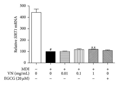 Effect Of Vn On Ampkα Pathway Related Factors In 3t3 L1 Adipocytes A