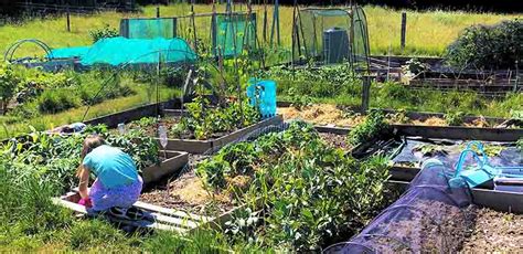 Composting In A Small Space Can It Be Done