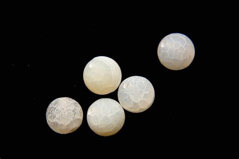 Ahhaat Mm Auk Mm Hele Hall Frosted Coolcrystal Ee