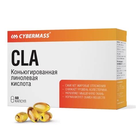 Каталог продукции CYBERMASS | CYBERMASS EnjoyNutrition