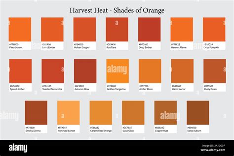 Color Palettes 20 Shades Of Orange Heat Fire Autumn Sunset Colors With Hex Codes And Color Palettes 20 Shades Of Orange Heat Fire Autumn Sunset Colors With Hex Codes And