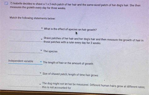 Solved 7 Isabelle Decides To Shave A 1 2 Inch Patch Of Her Hair And The Same Sized Patch Of