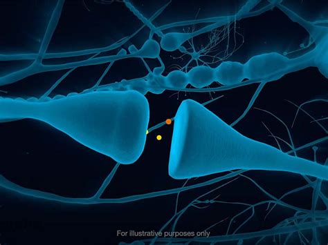 Transcranial Magnetic Stimulation Tms Therapy Victory Clinic
