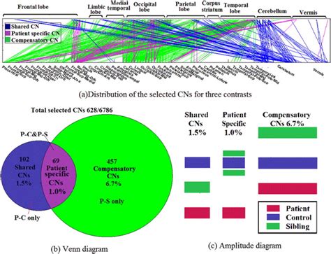 Distribution Of The Selected Connectivity Features Including Both
