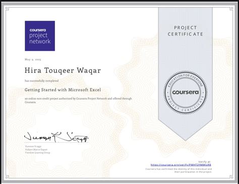 Excel Spreadsheets Dataanalysis Professionaldevelopment Newskills Hira Touqeer Waqar
