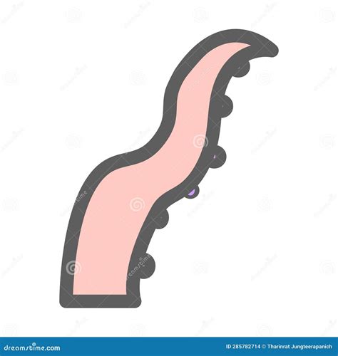 Tentacle Set Slender Flexible Limb Octopus Parts Stock Illustration