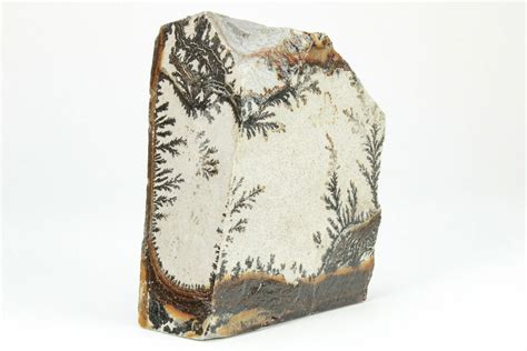 4 15 Dendrites On Limestone Utah 207810 For Sale