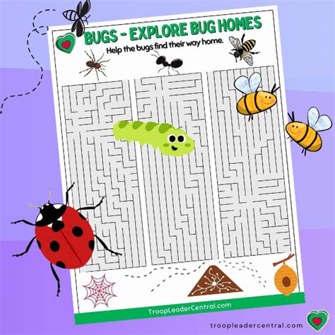 Bugs Maze Download Troop Leader Central