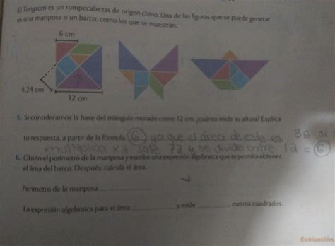 obtén el perímetro de la mariposa y escribe una expresión algebraica
