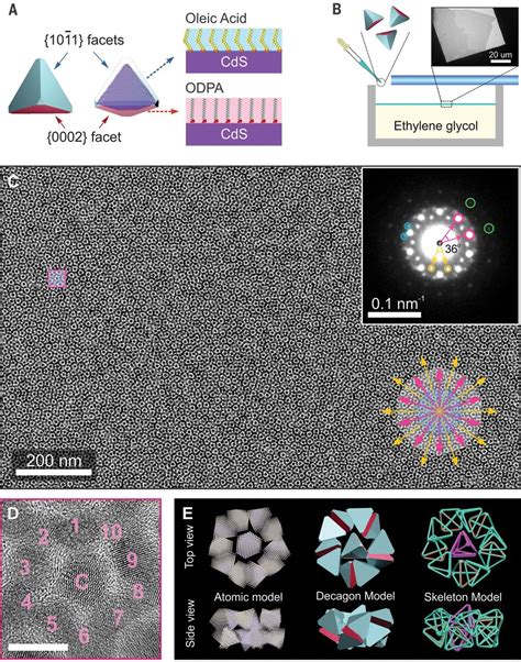Single Component Quasicrystalline Nanocrystal Superlattices Through Flexible Polygon Tiling Rule