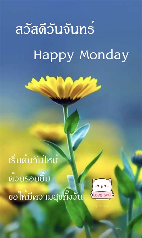 ปักพินโดย Jorpor Thailand ใน Quick Saves สวัสดีตอนเช้า ดอกไม้สีม่วง อรุณสวัสดิ์