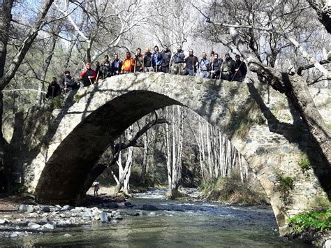 Νεα Ακρόπολη Κύπρου