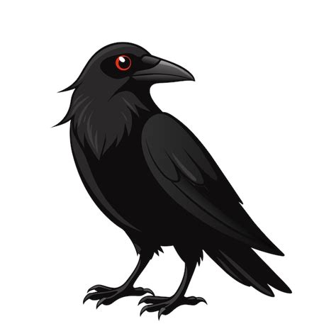Premium Vector Crow Bird Cartoon Style On White Background