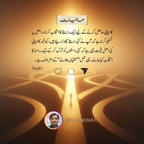 Aalijah Aaliyaat Successpath Focusongoals Burnyourboats Aali Jah