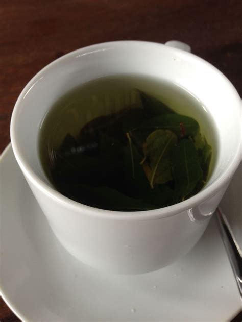 Mate de Coca | Mate de coca, Coco