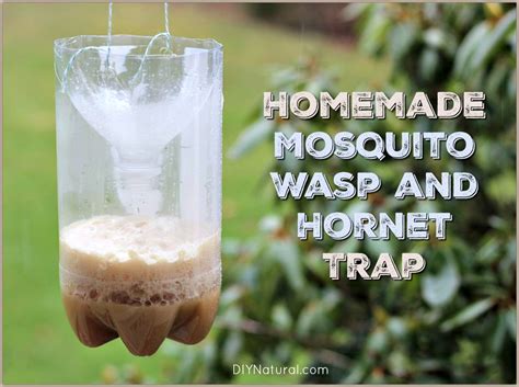 Homemade Mosquito Traps And Homemade Wasp Traps