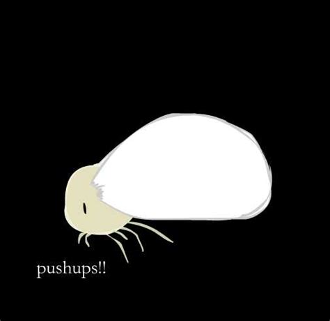Bug Push Ups By Animog On DeviantArt