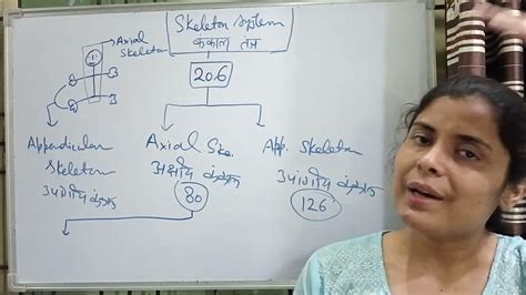Skeleton System Class 1 कंकाल तंत्र विज्ञान Mppsc Ssc Mptet Science Subject Youtube