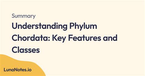 Understanding Phylum Chordata Key Features And Classes Video Summary