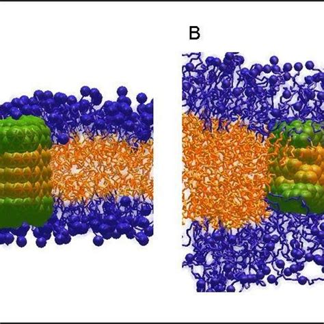 Schematic Representation Of A Completely Functionalized Nanoreactor Download Scientific Diagram