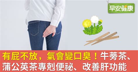 有屁不放，氣會變口臭！牛蒡茶、蒲公英茶專剋便祕、改善肝功能